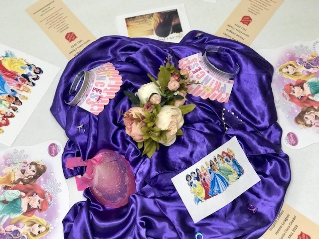 Program Idea – The Power of the Princess Perspective