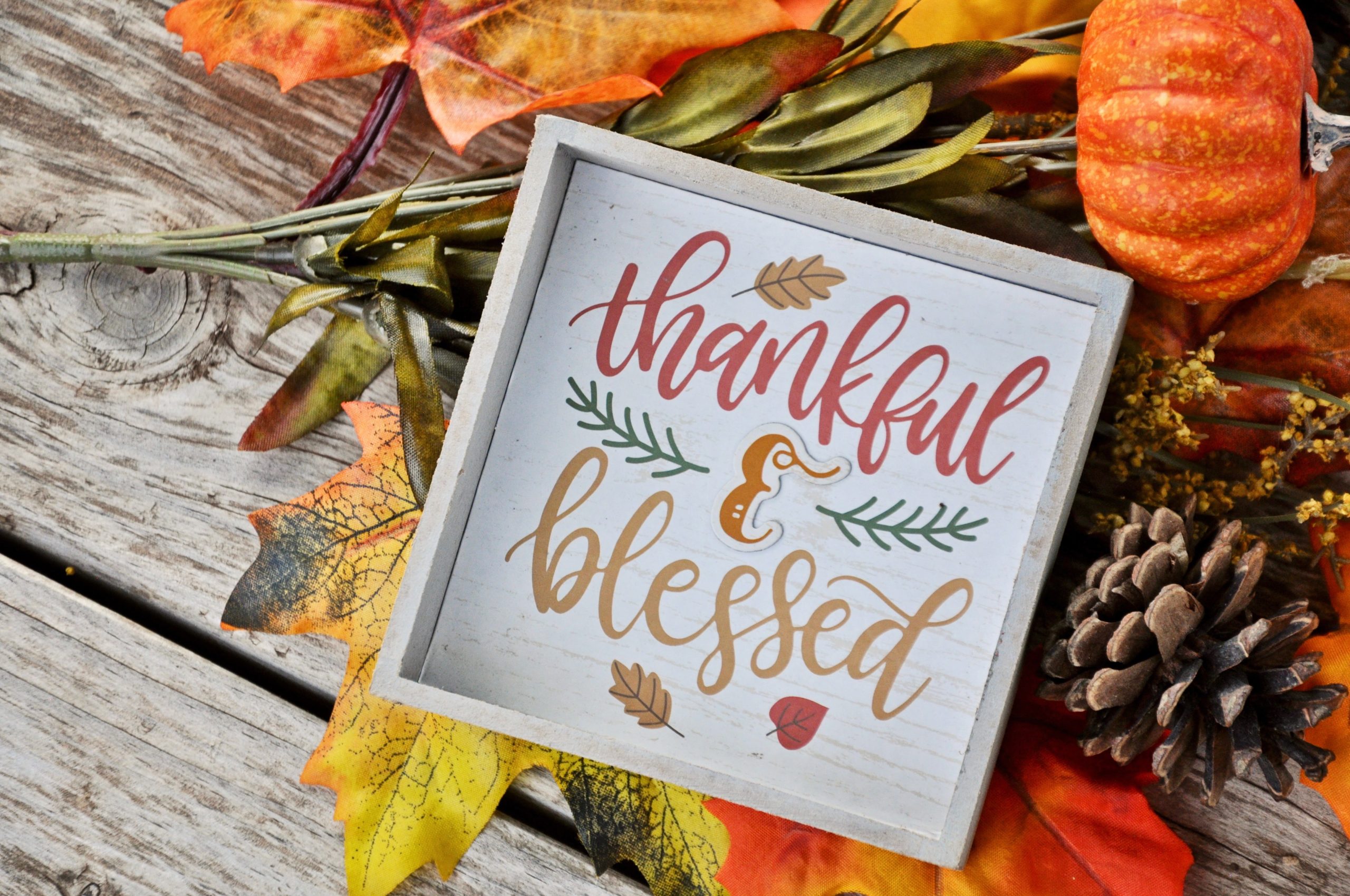 November Devotional: Thankfulness