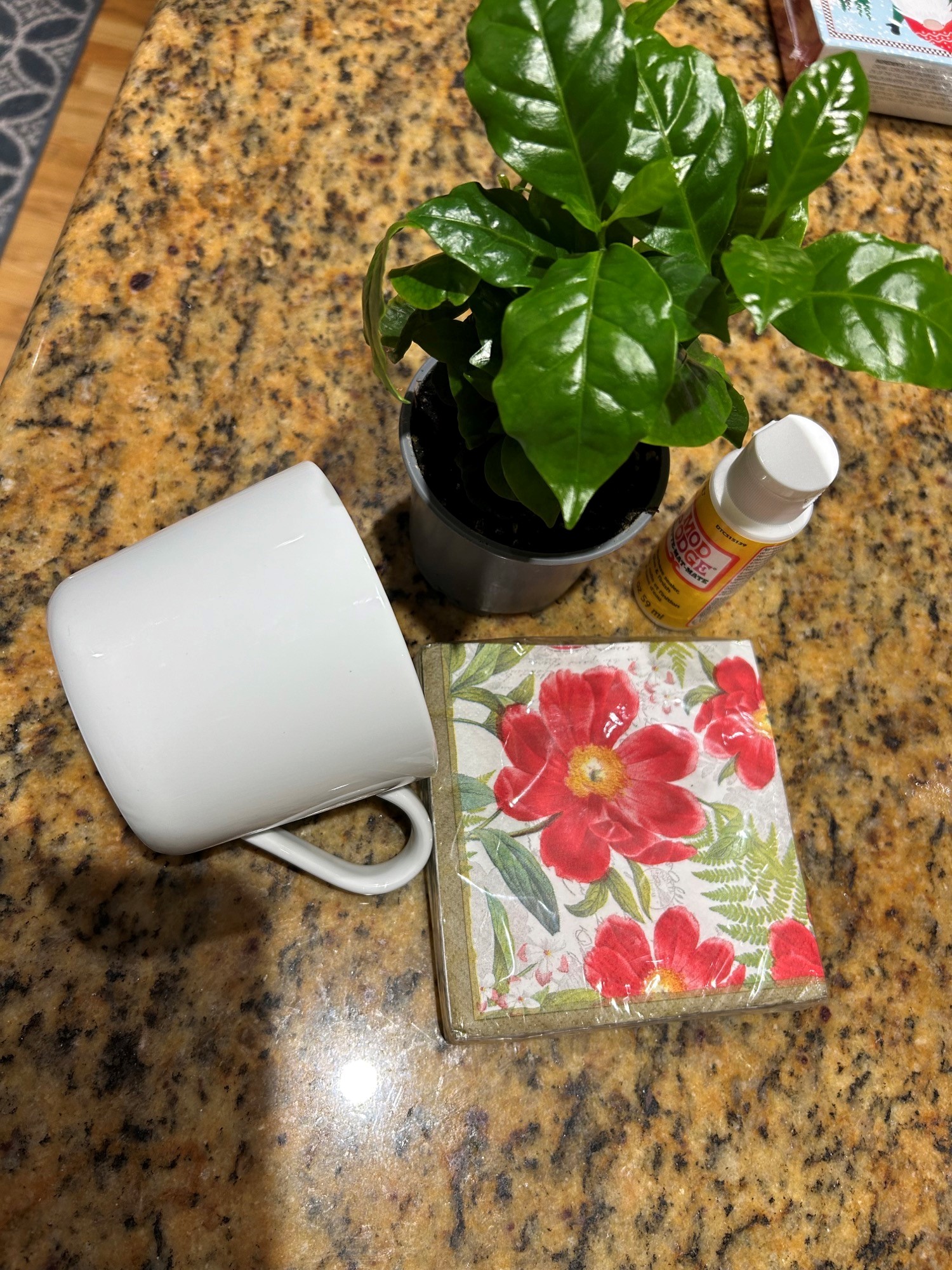 February 2024 Craft: Napkin Mod Podge Planter